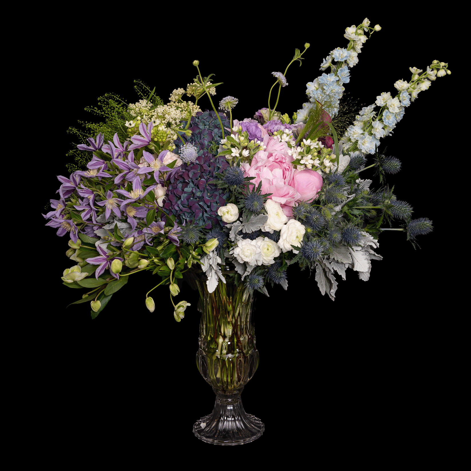 [BE21] Daydream – FLORAL BLOOMS